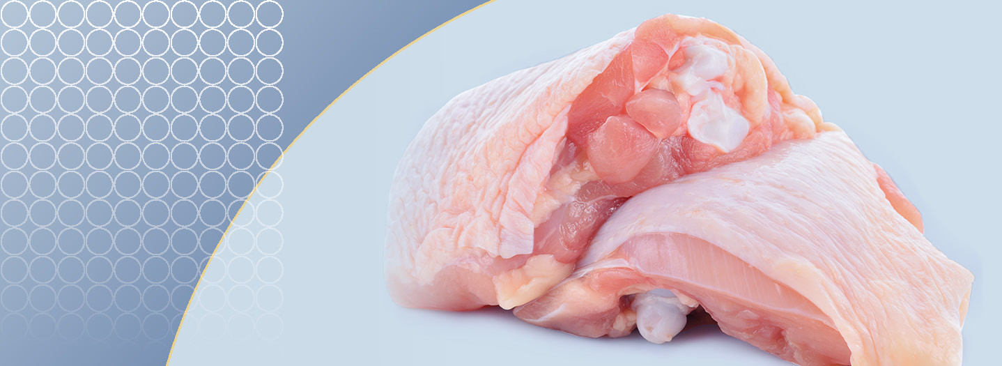 Campylobacter: an underestimated risk? - Food & Feed Analysis
