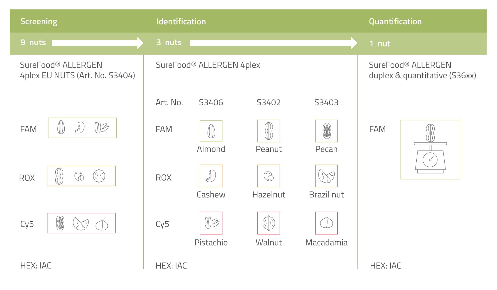 Nuts: Reliable tests for the detection of tree nuts in food | R-Biopharm