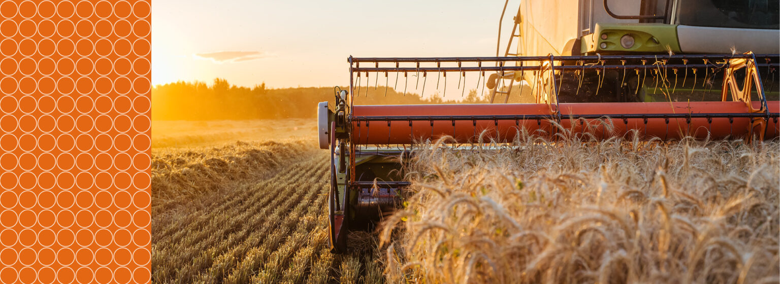 Updated EU and US Legislative Limits for Fusarium Mycotoxins: What You ...