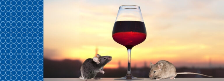 Mousiness in wine: An old challenge resurfaces – and how qPCR can help ...