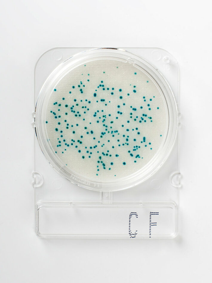 Compact Dry CF - Food & Feed Analysis
