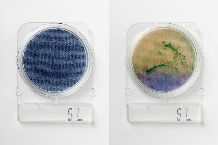 Compact Dry TC - Food & Feed Analysis