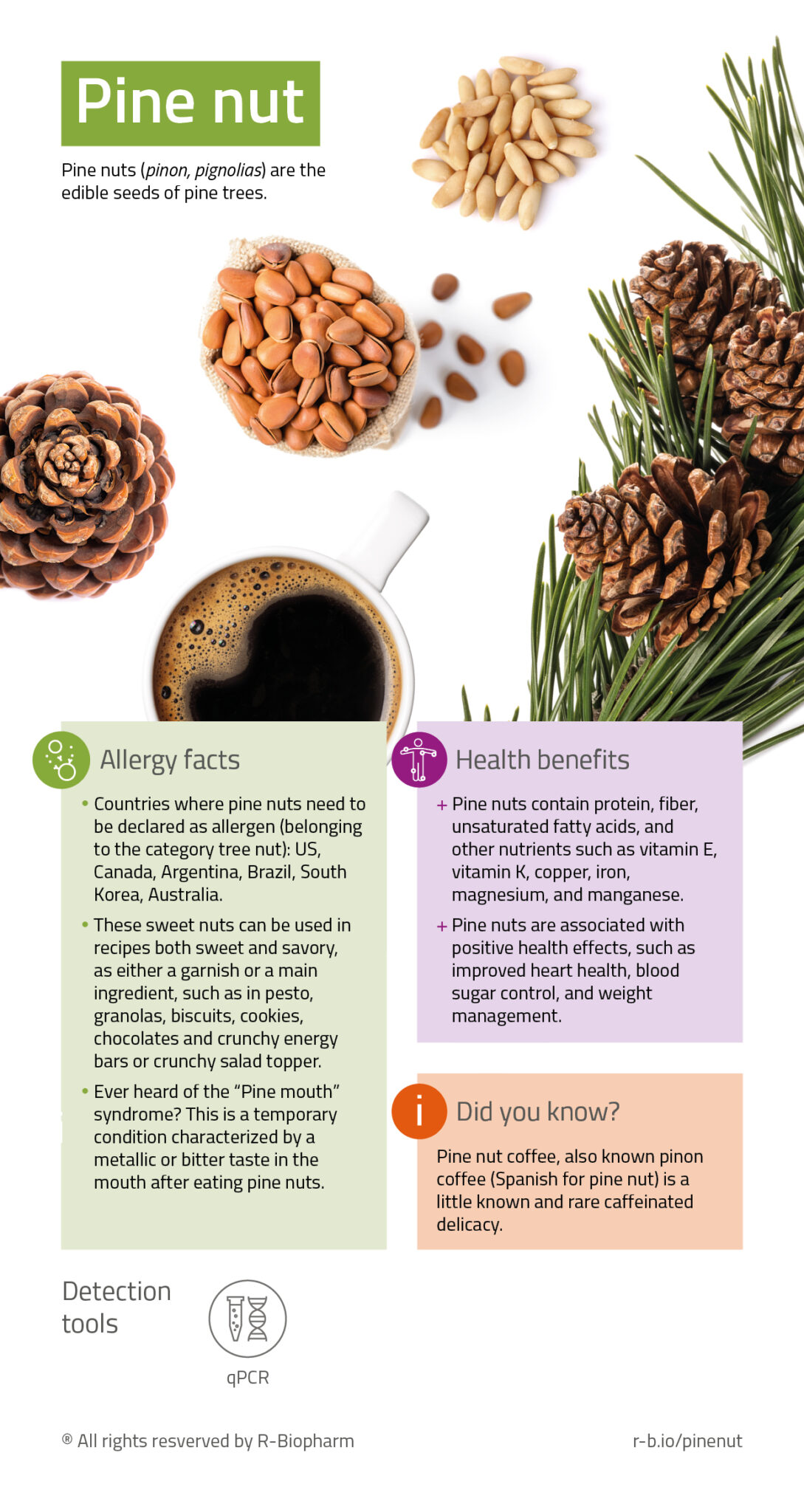 5 fascinating facts about nuts - Food & Feed Analysis