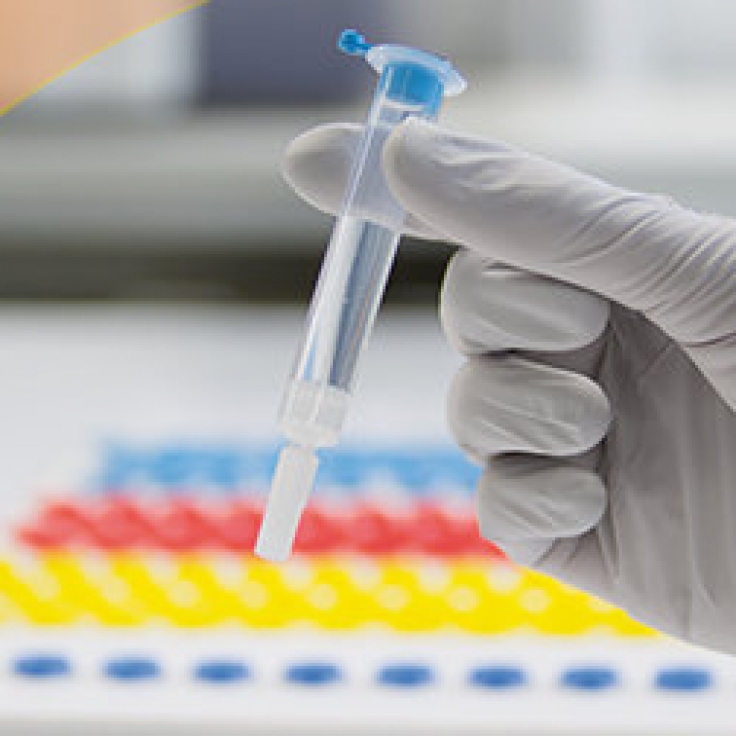 Multi-mycotoxin analysis: Simultaneous sample purification for 11 ...