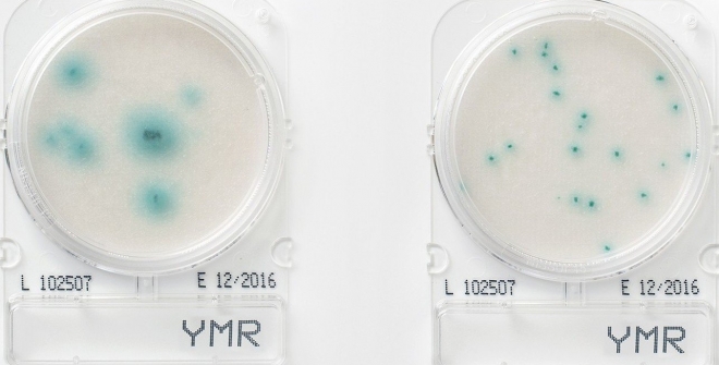 Compact Dry YM (en) - Food & Feed Analysis
